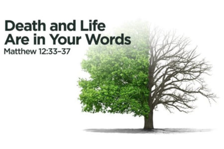 Matthew 12 – Loch Raven PCA